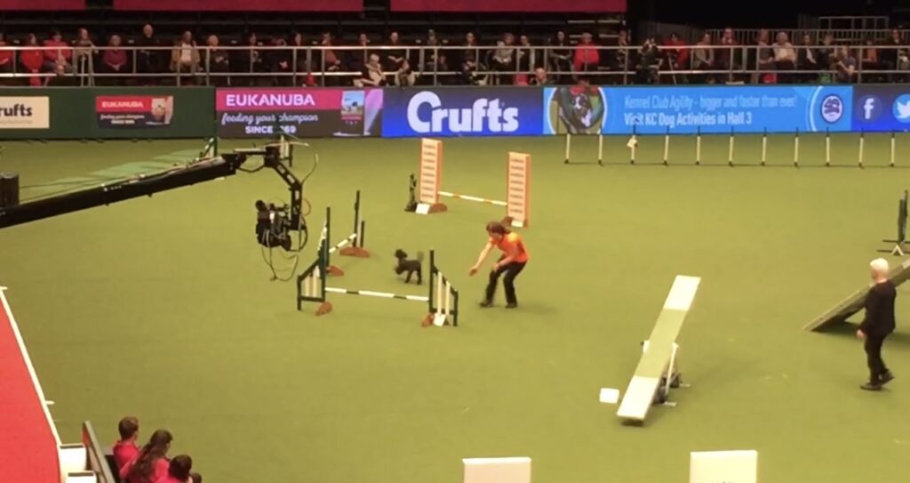 AKC Agility Trial Carroll Kennel Club AKC Agility Trial Carroll Kennel Club